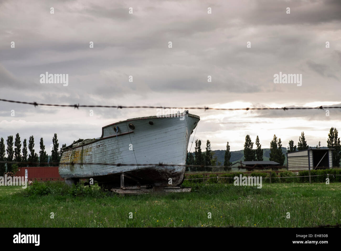 Old boat in a field near Miranda, New Zealand Stock Photo - Alamy