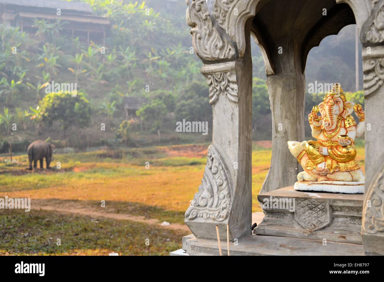 Ganesha shrine with elephant in background Stock Photo - Alamy