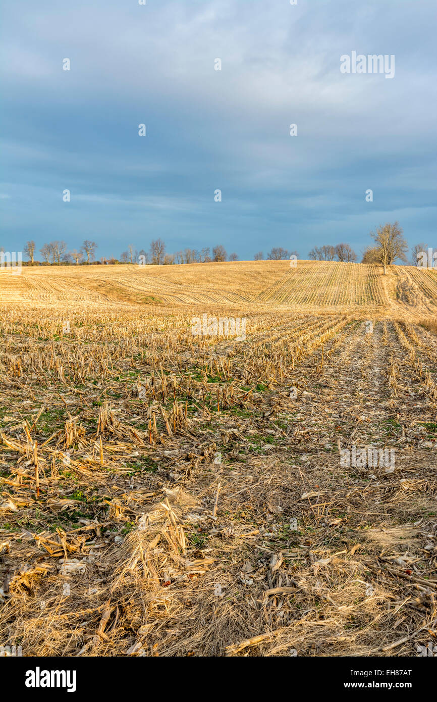 Central kentucky hi-res stock photography and images - Alamy