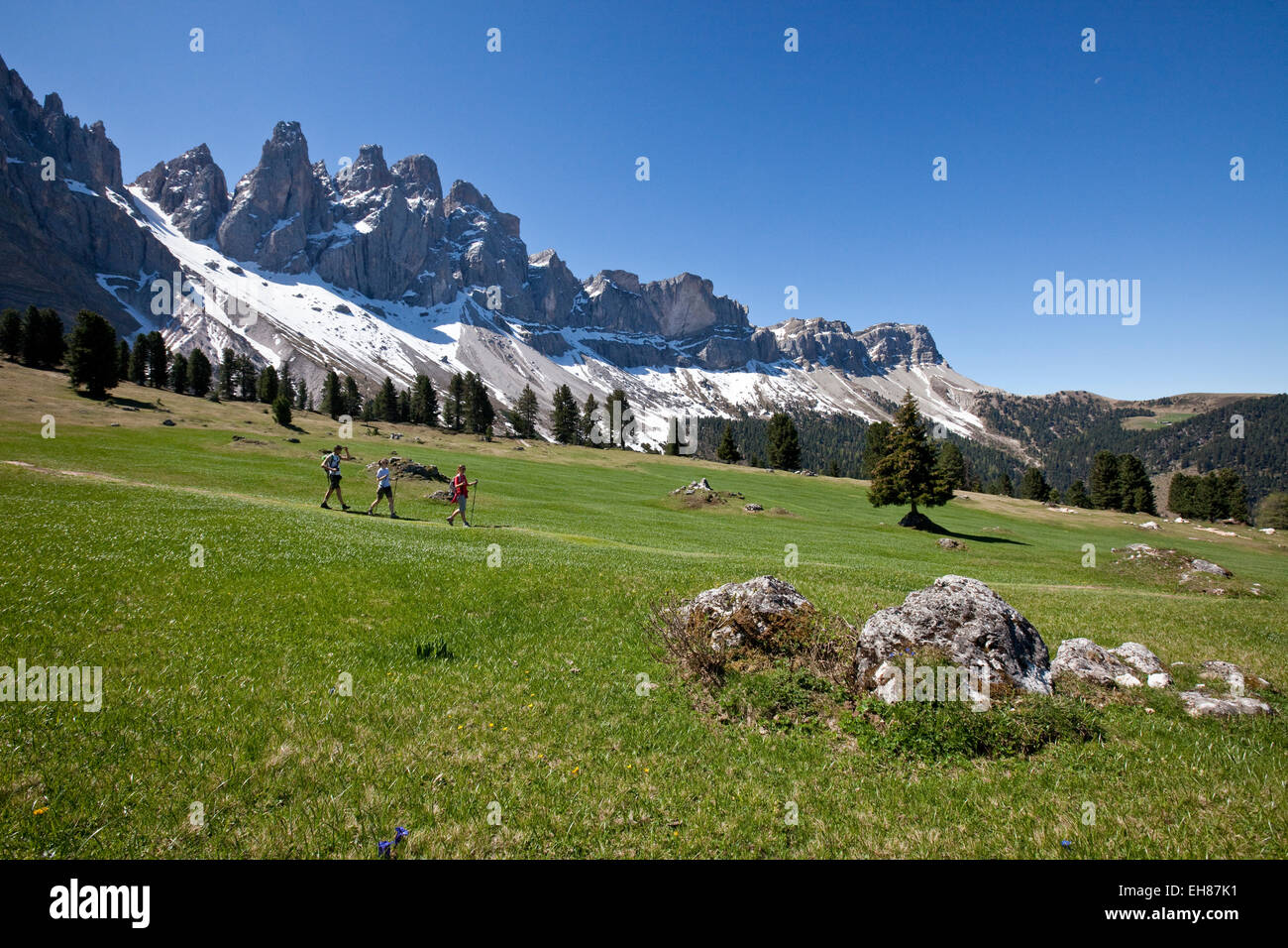 The Puez-Odle Nature Park, peaks and flower fields, Funes, South Tyrol ...