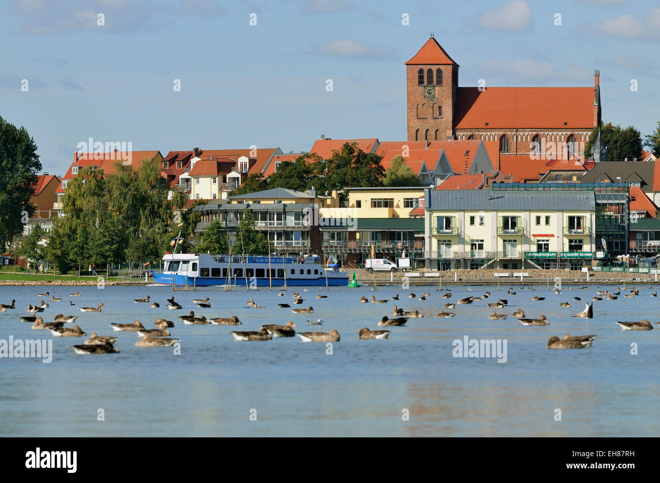 City harbour of Waren an der Müritz, Lake Müritz, Mecklenburg-Western ...
