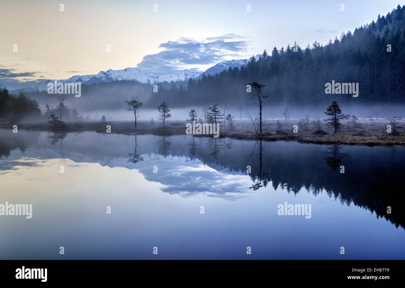 Fog hiding the vegetation in the Nature Reserve of Pian di Gembro ...