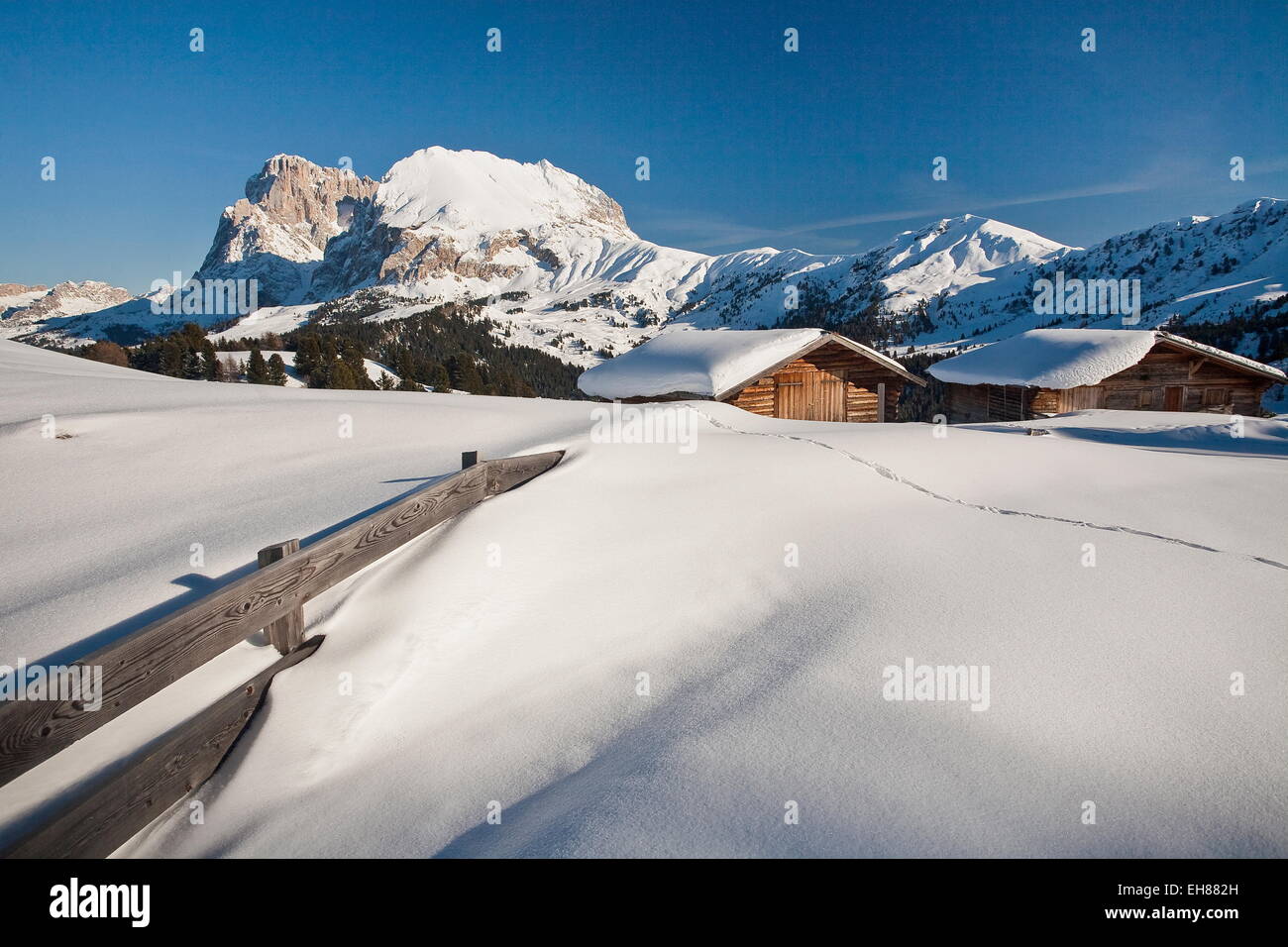 Sleeping huts in Seiser Alm, South Tyrol, Dolomites, Italy, Europe ...