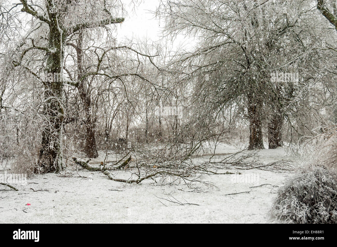 Damage snow storm hi-res stock photography and images - Alamy