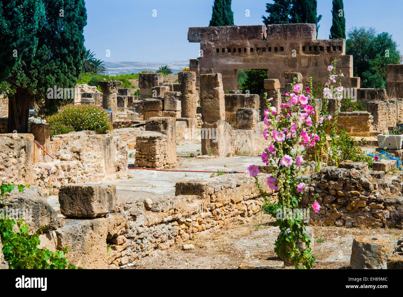 Waterfall House, Utica Punic and Roman archaeological site, Tunisia ...