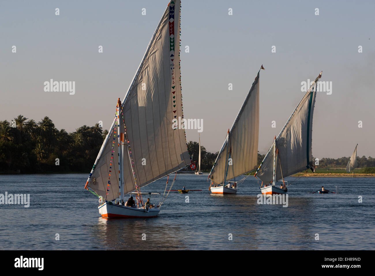 Traditional felucca sailing boats on the River Nile near Luxor, Egypt ...