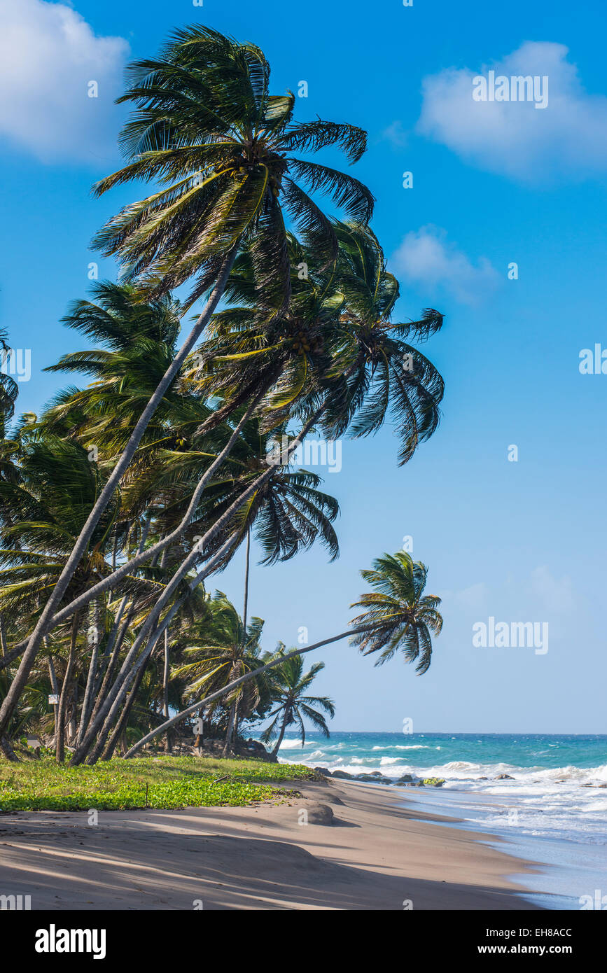 Windward islands hi-res stock photography and images - Alamy