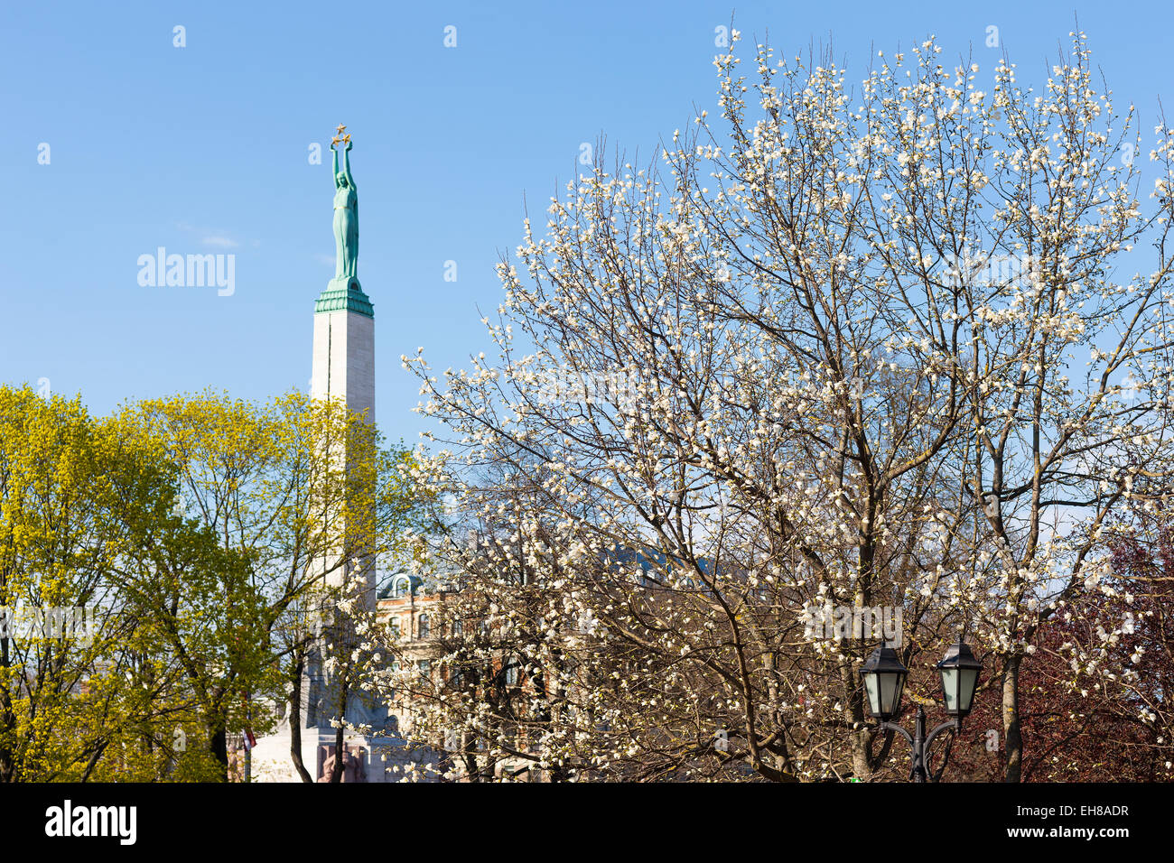 Freedom Monument in Riga Milda spring with flowering trees Stock Photo ...