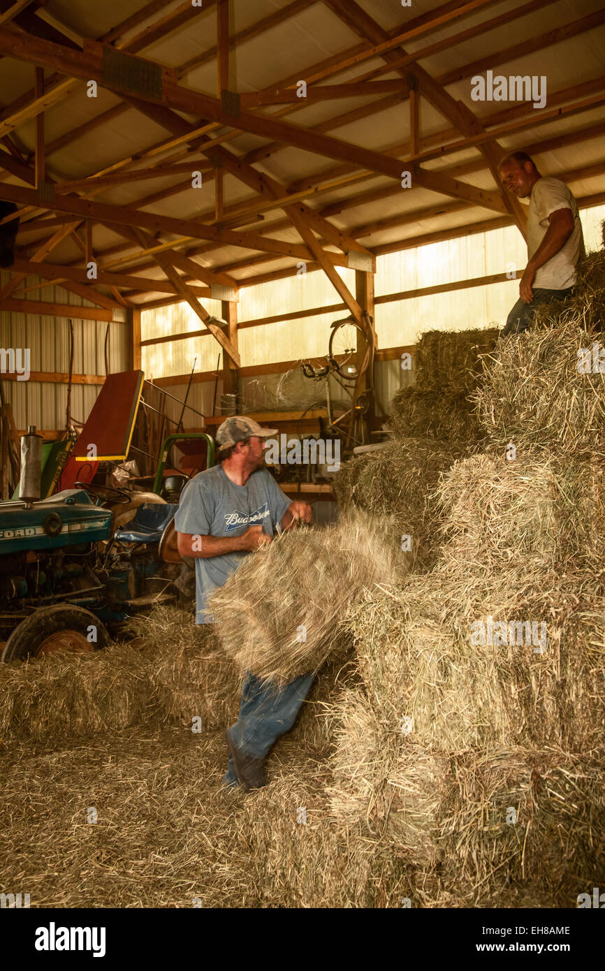 Messy barn High Resolution Stock Photography and Images - Alamy