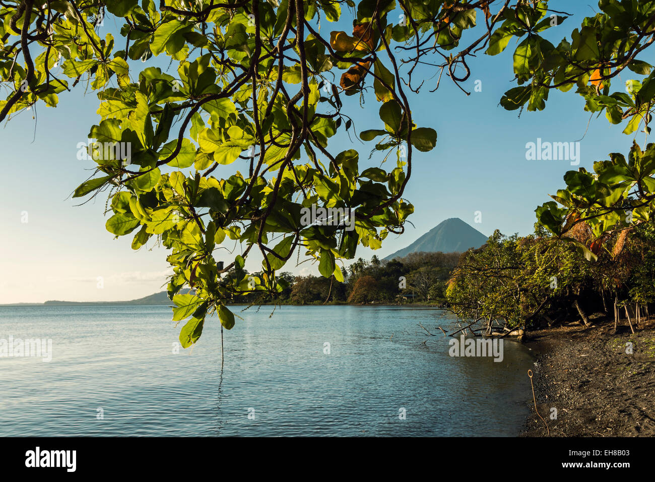 Volcan Concepcion at Merida in island's South East, Merida, Volcan ...
