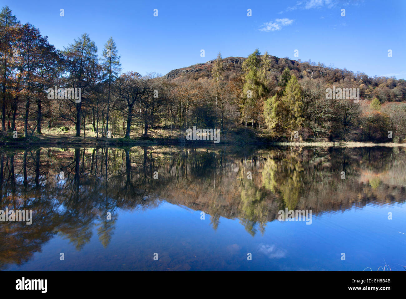 Yew Tree Tarn in autumn, Lake District National Park, Cumbria, England ...