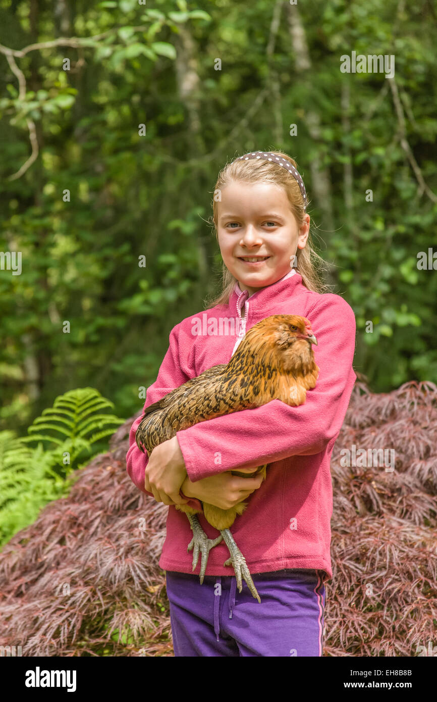 Eleven-year old girl holding her Ameraucana hen in Issaquah, Washington ...
