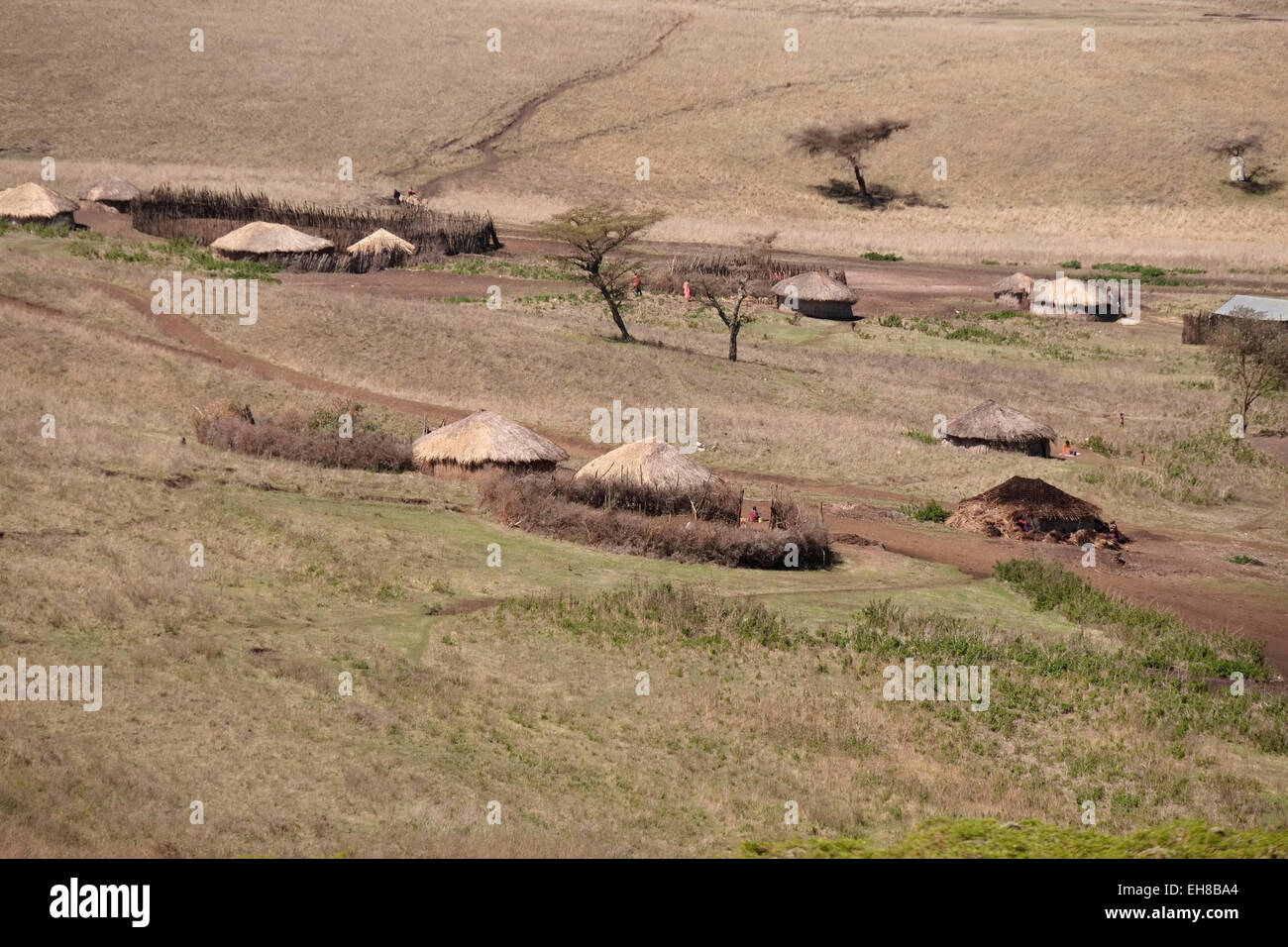 Maasai huts surrounded by Enkang barrier formed by a thick round 'fence ...