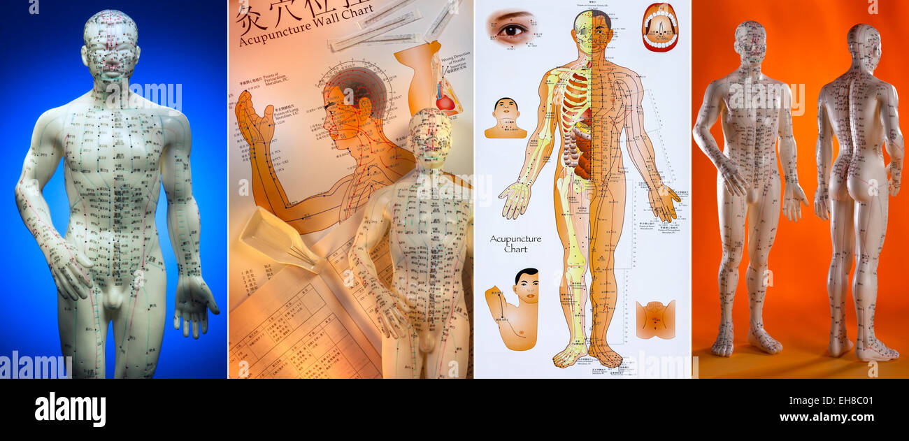 Body meridians chart hi-res stock photography and images - Alamy