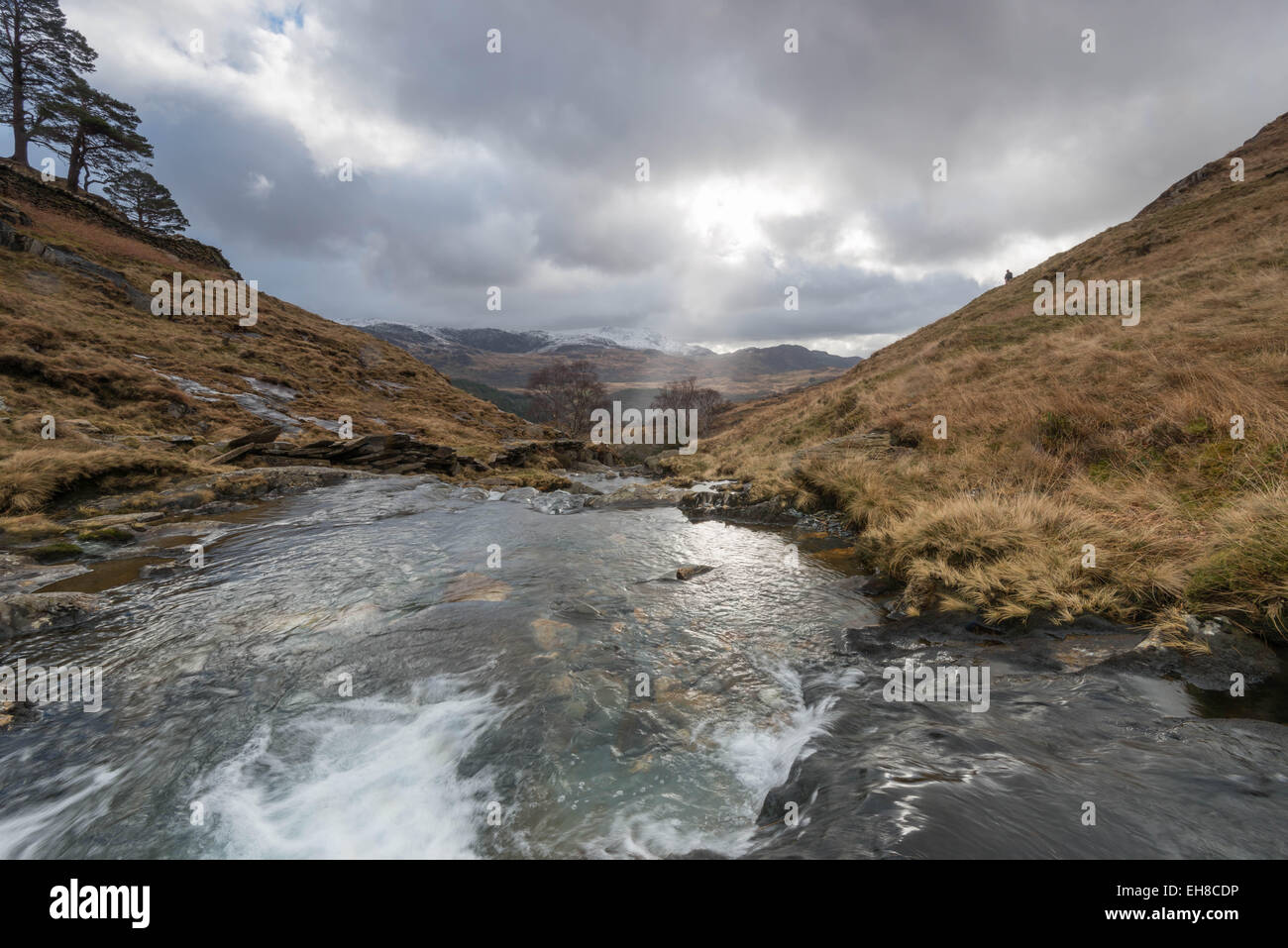 Stream tumbling down from Mount Snowdon, Snowdonia, Wales; mountain ...