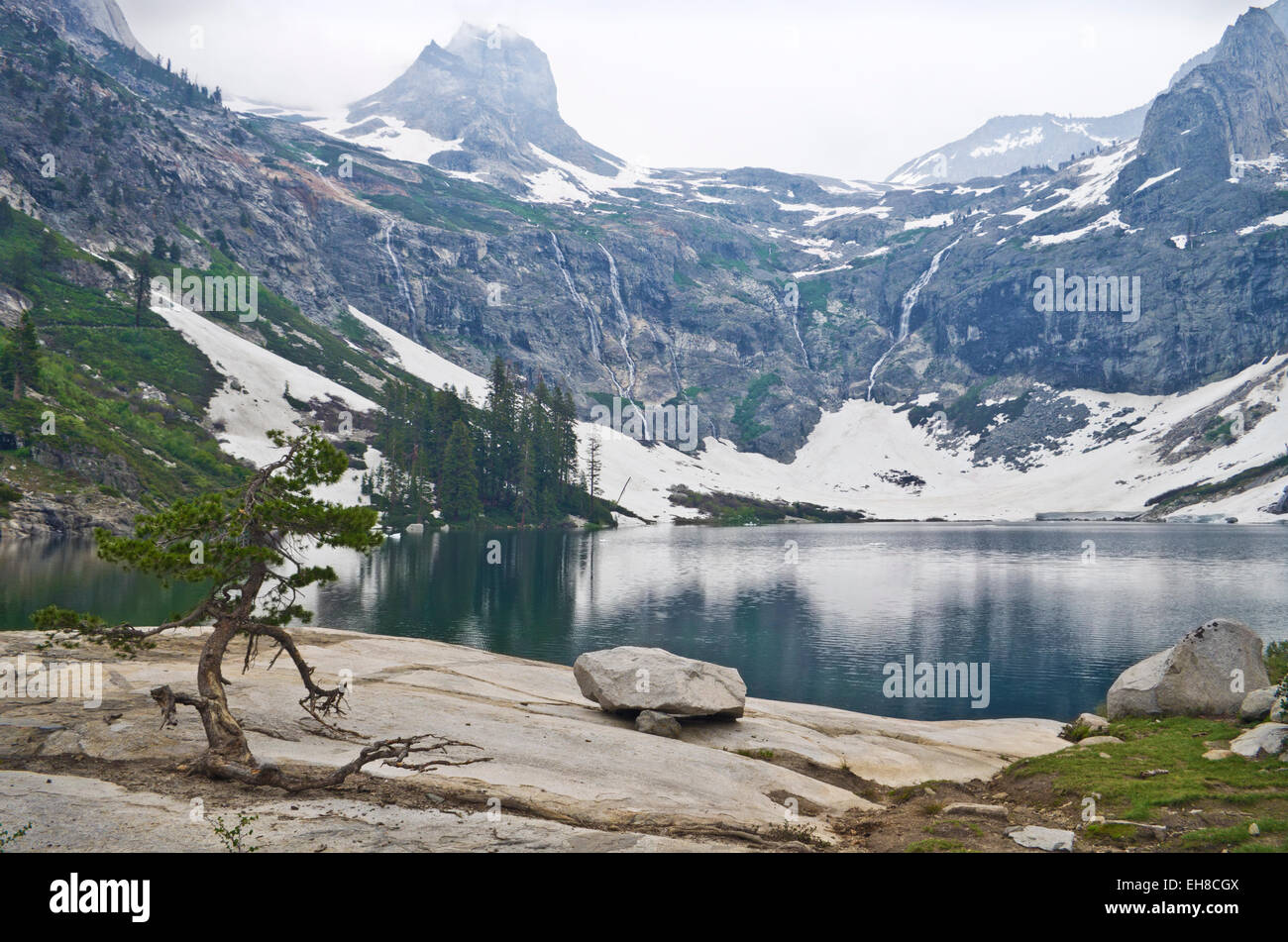 Sequoia and kings canyon hamilton hi-res stock photography and images ...