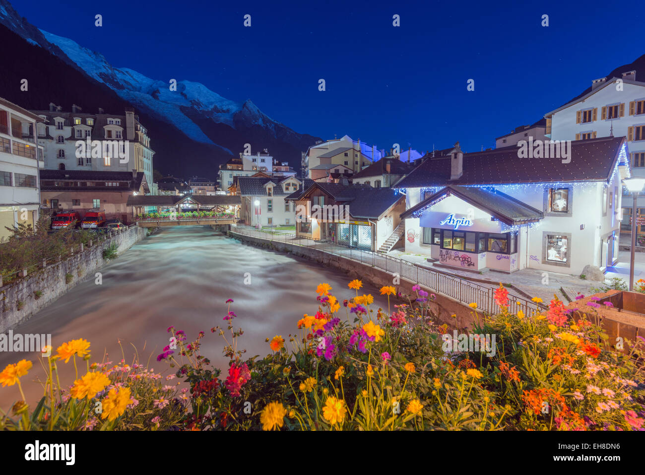 Flowers chamonix mont blanc hi-res stock photography and images - Alamy