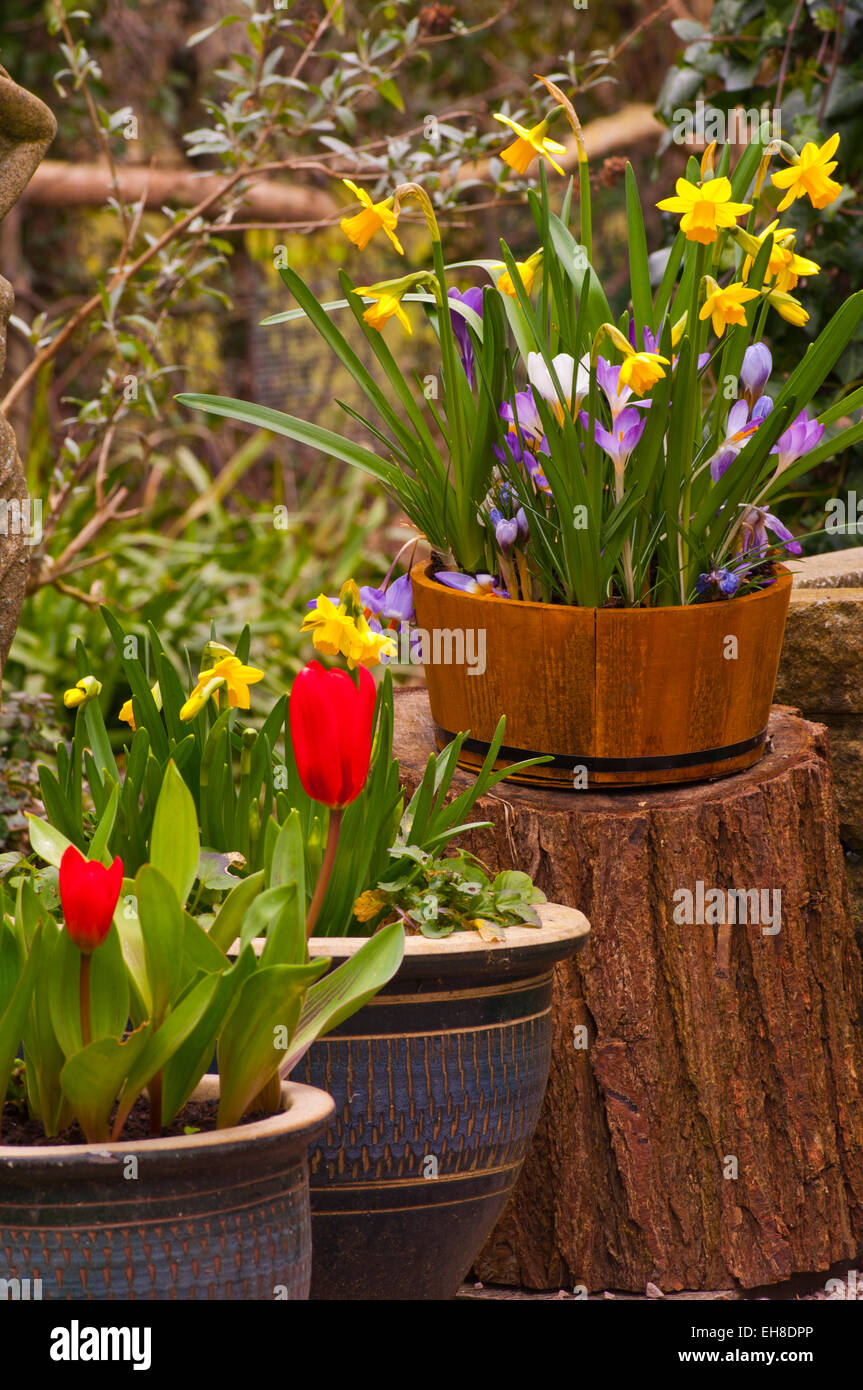 Garden Pots Of Spring fLOWERS Stock Photo - Alamy