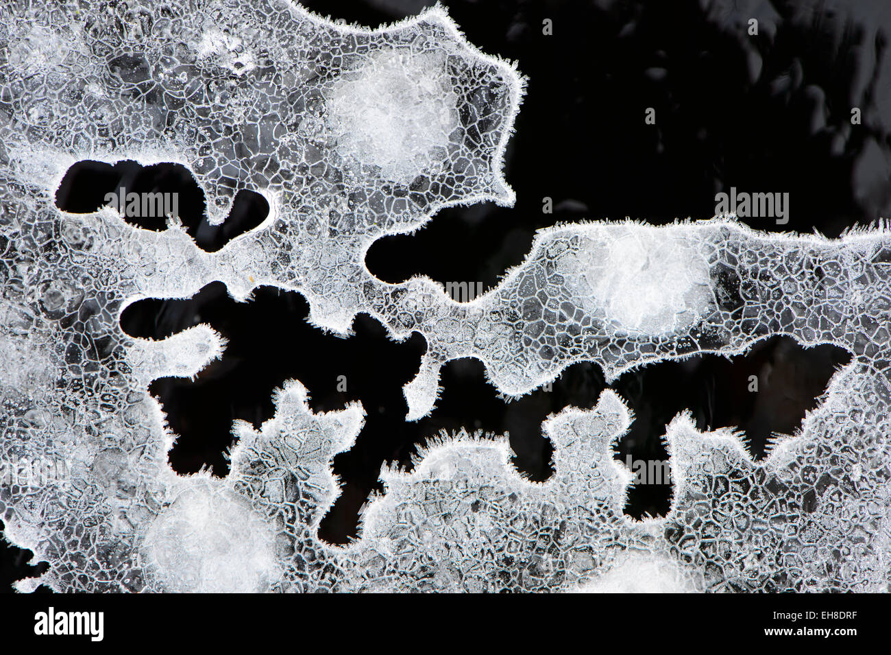 Fine shapes hi-res stock photography and images - Alamy