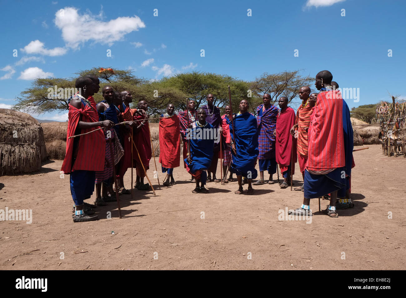 A group of Maasai men taking part in the traditional Adumu dance ...