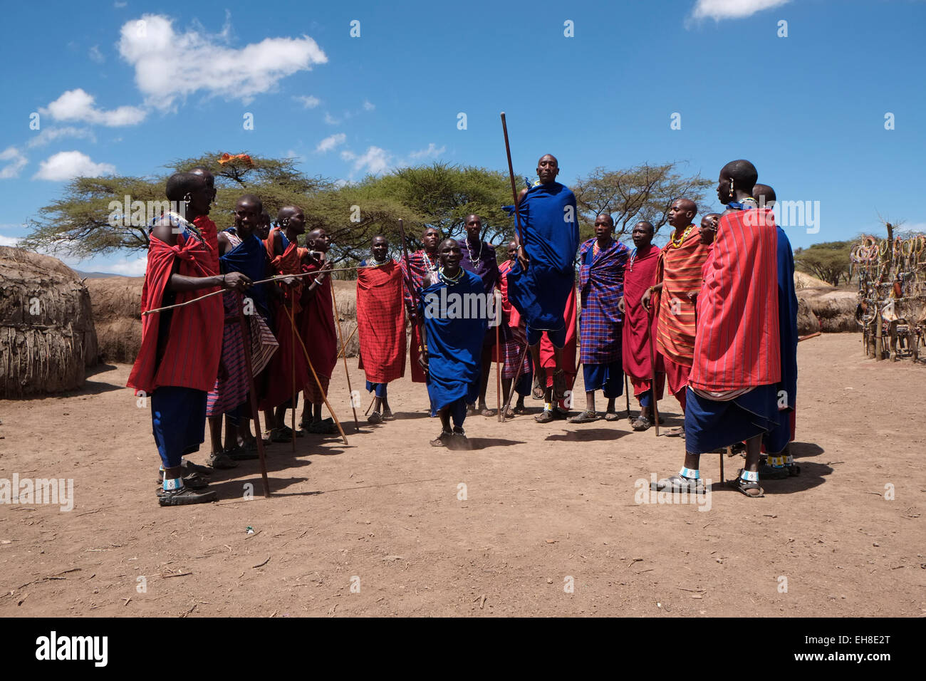 A group of Maasai men taking part in the traditional Adumu dance ...