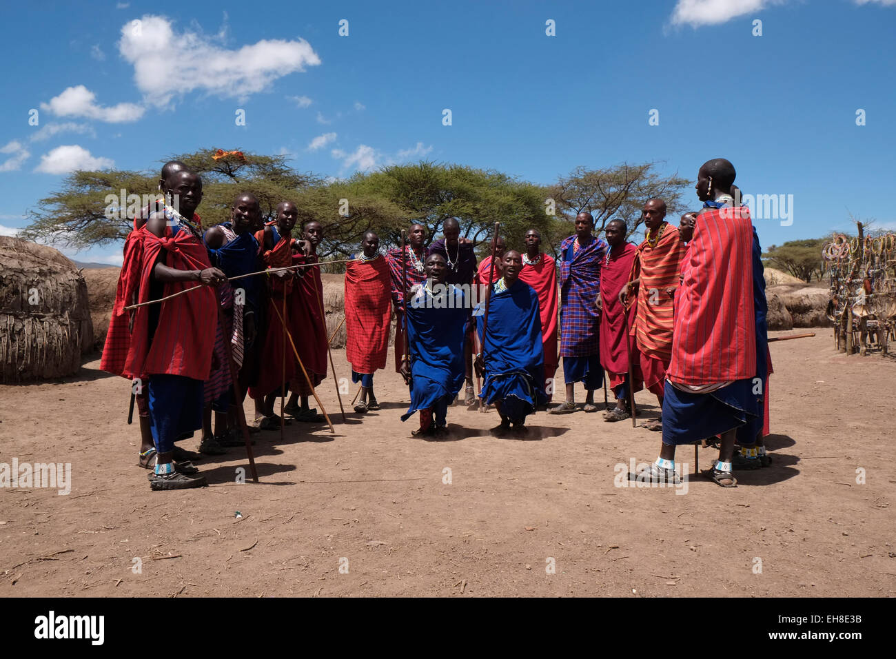A group of Maasai men taking part in the traditional Adumu dance ...