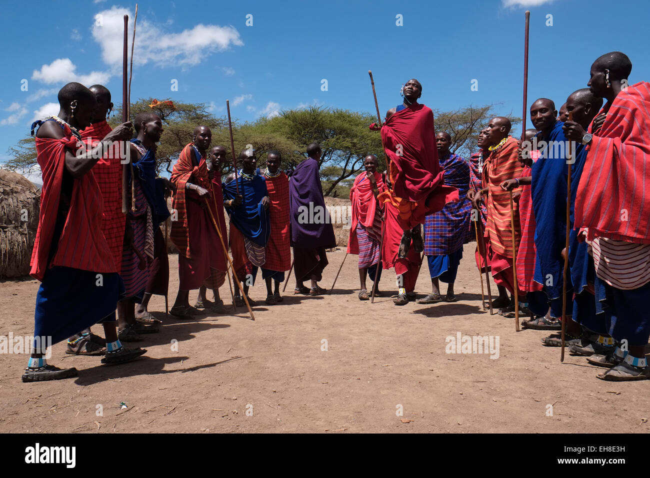 A group of Maasai men taking part in the traditional Adumu dance ...