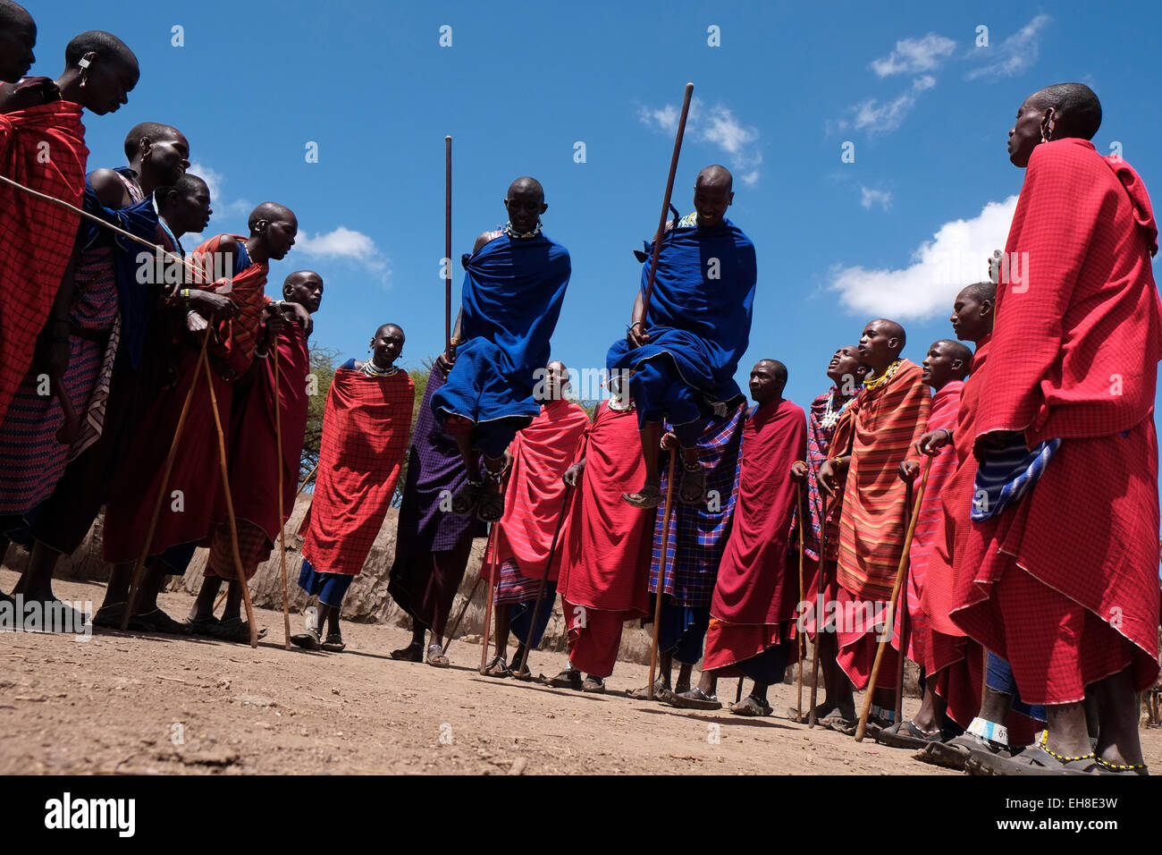 A group of Maasai men taking part in the traditional Adumu dance ...