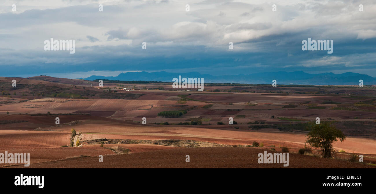Rioja landscape hi-res stock photography and images - Alamy