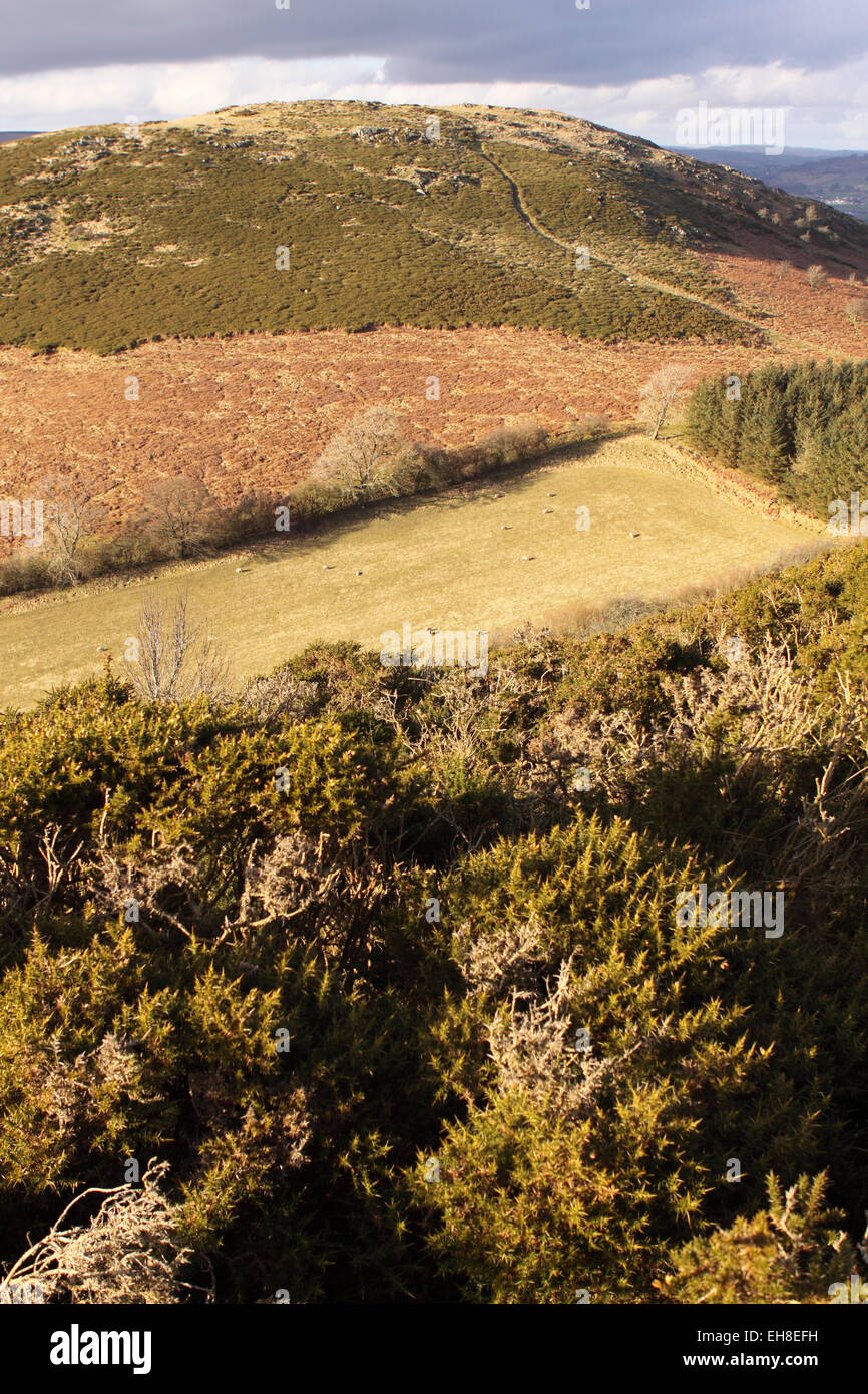 Hergest ridge hi-res stock photography and images - Alamy
