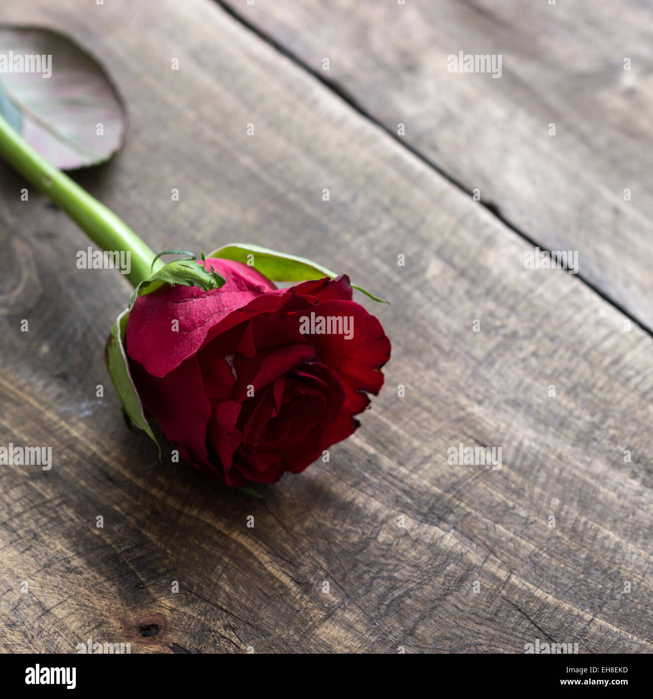 Rose wood texture hi-res stock photography and images - Alamy
