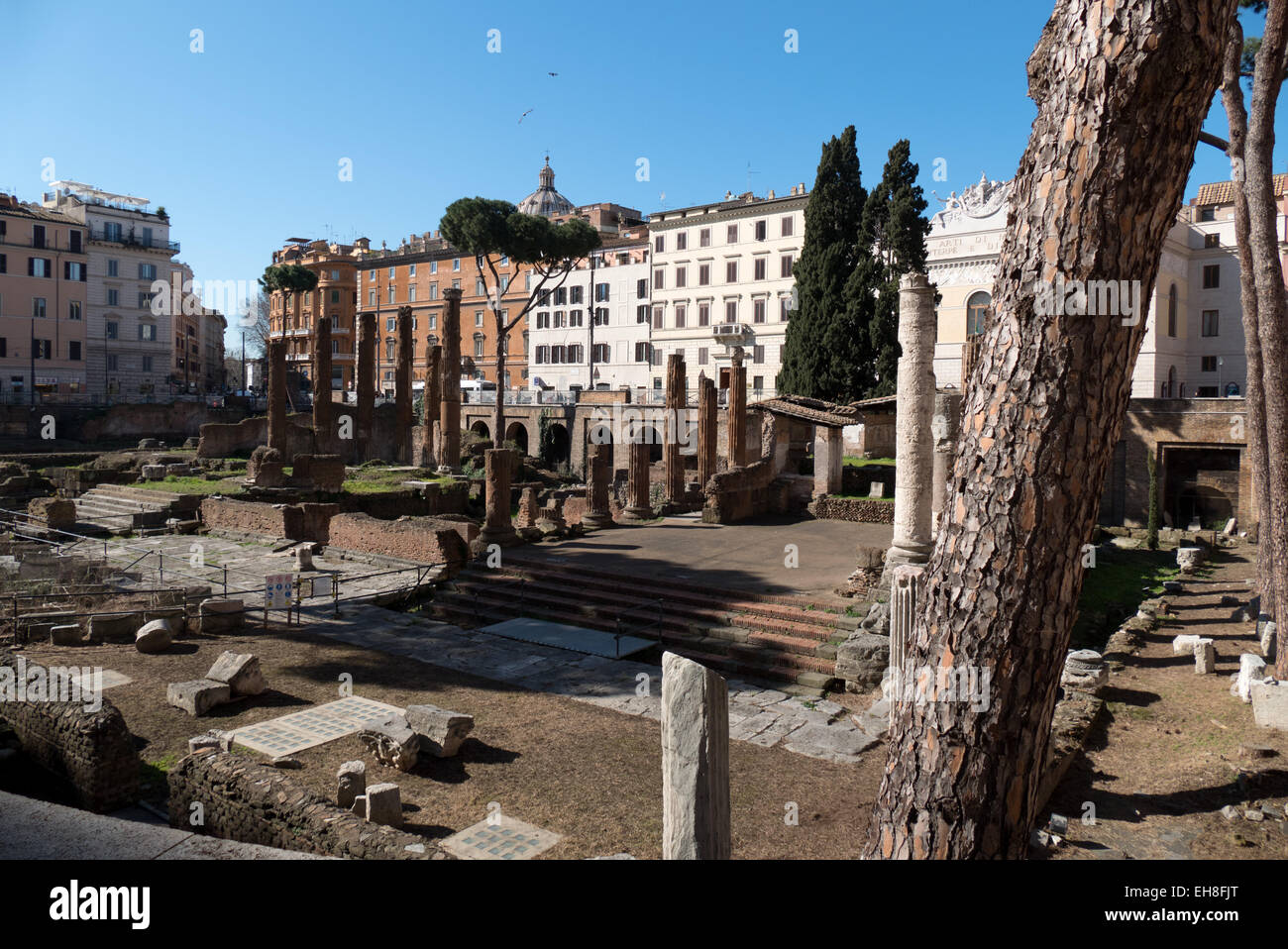 Ancient ruins in Piazza di Torre Argentina. Temple, monument, landmark ...