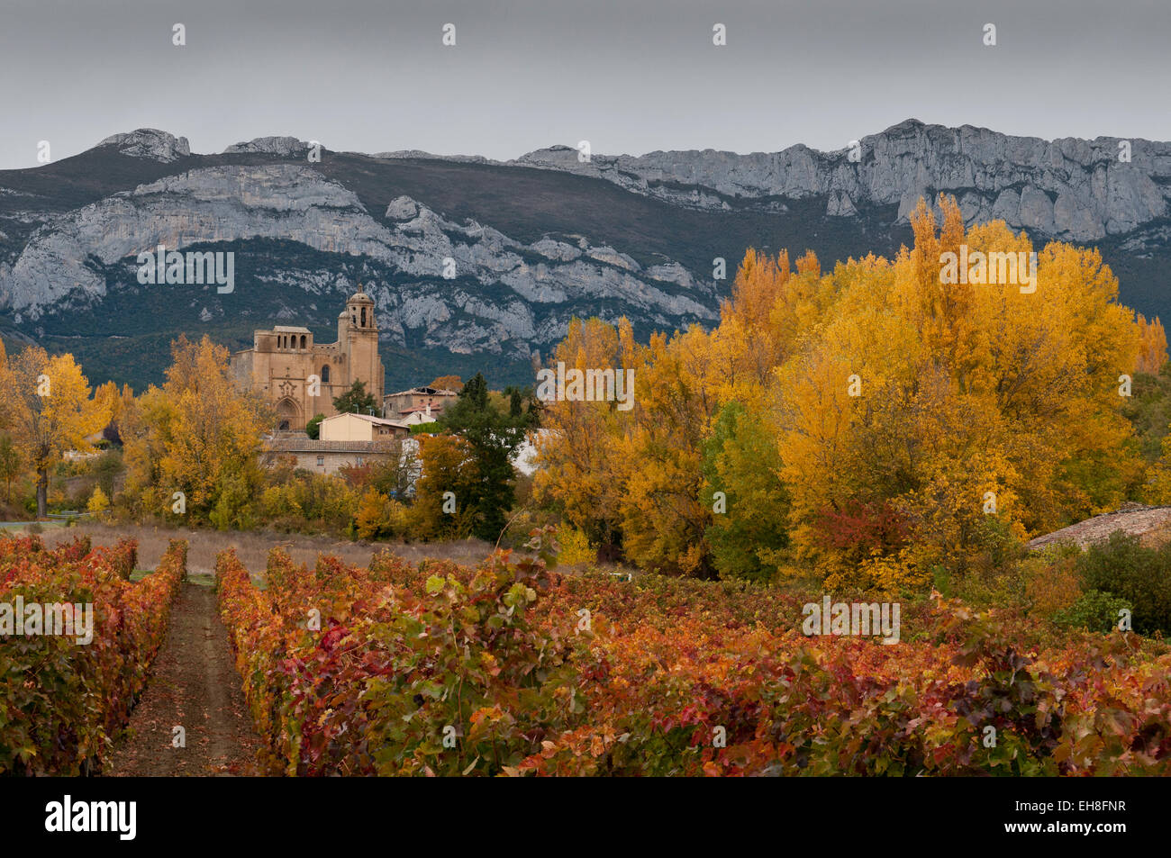 Autumn Fall View of La Rioja Village Stock Photo - Alamy