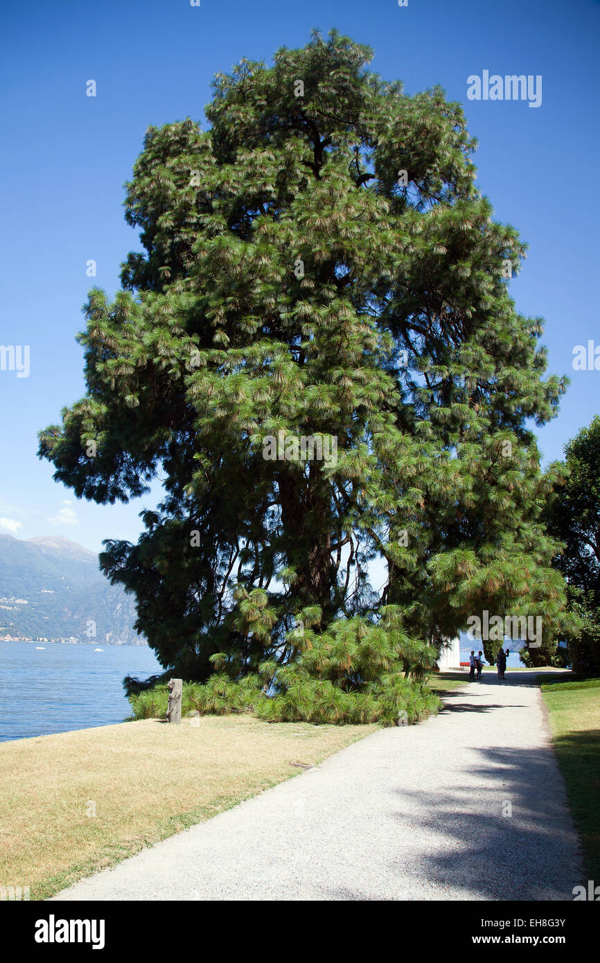 Villa Melzi, Bellagio, Lake Como, Italy Stock Photo - Alamy