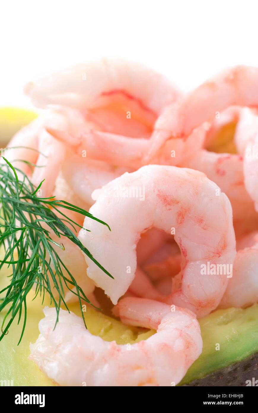 Prepared shrimps dill close hi-res stock photography and images - Alamy