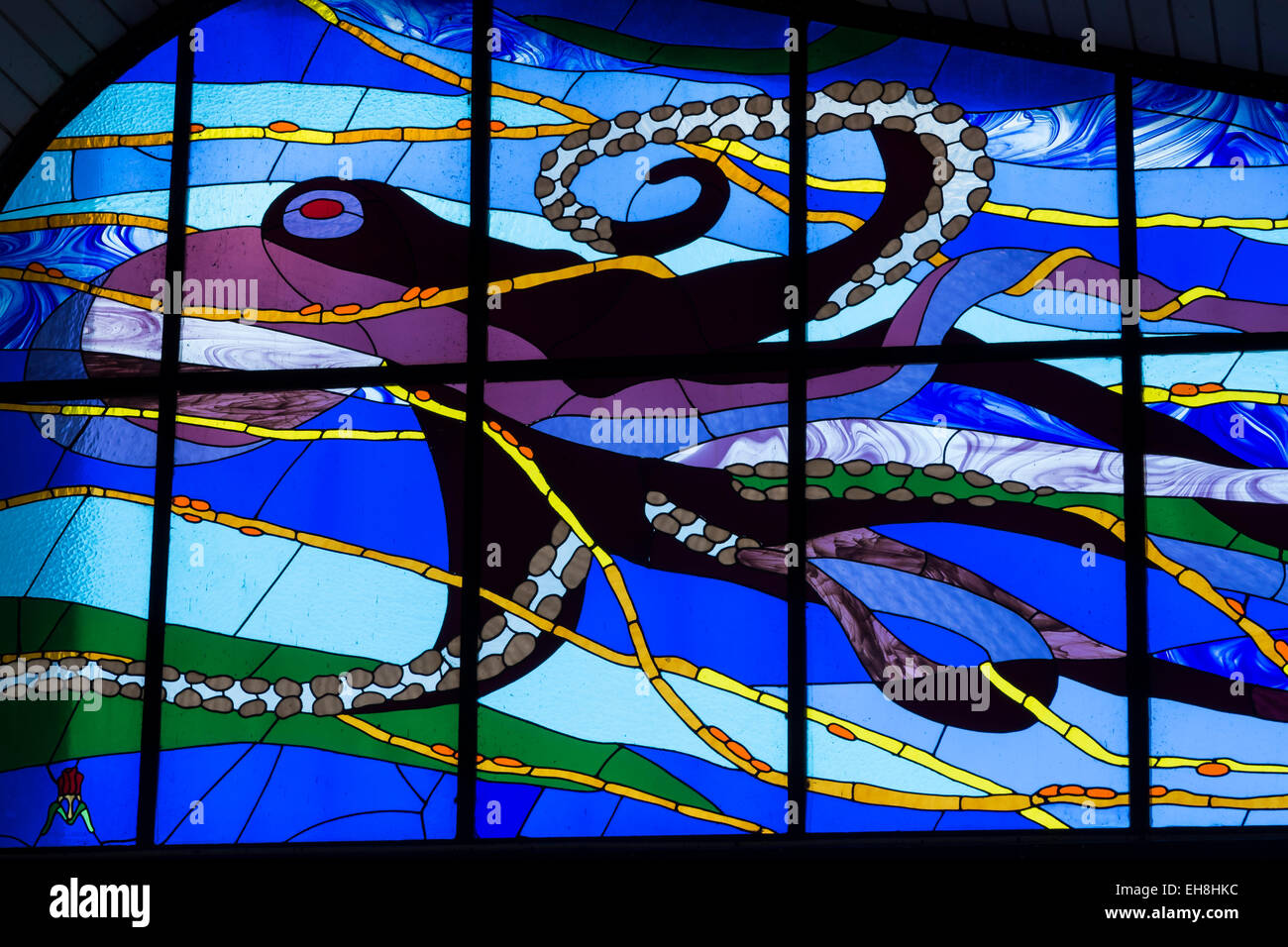 Stained glass window depicting an Octopus at the Plaza Las Americas ...