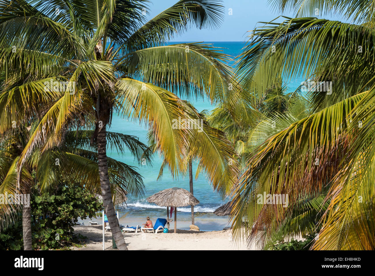 Sun bather on the beach at Varadero on the Straits of Florida, Cuba ...