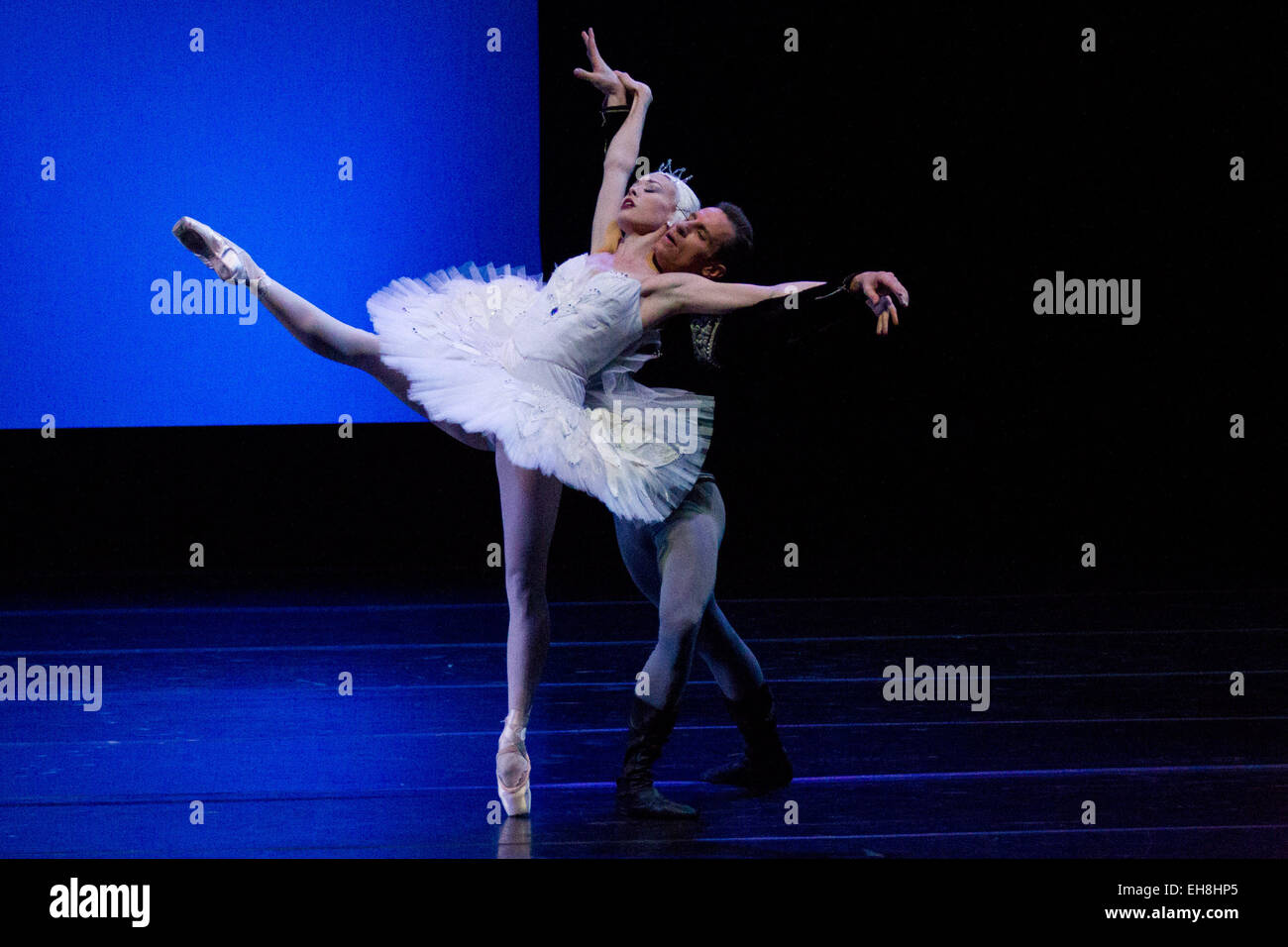 new york ballet star in gran gala at auditorium parco della musica ...