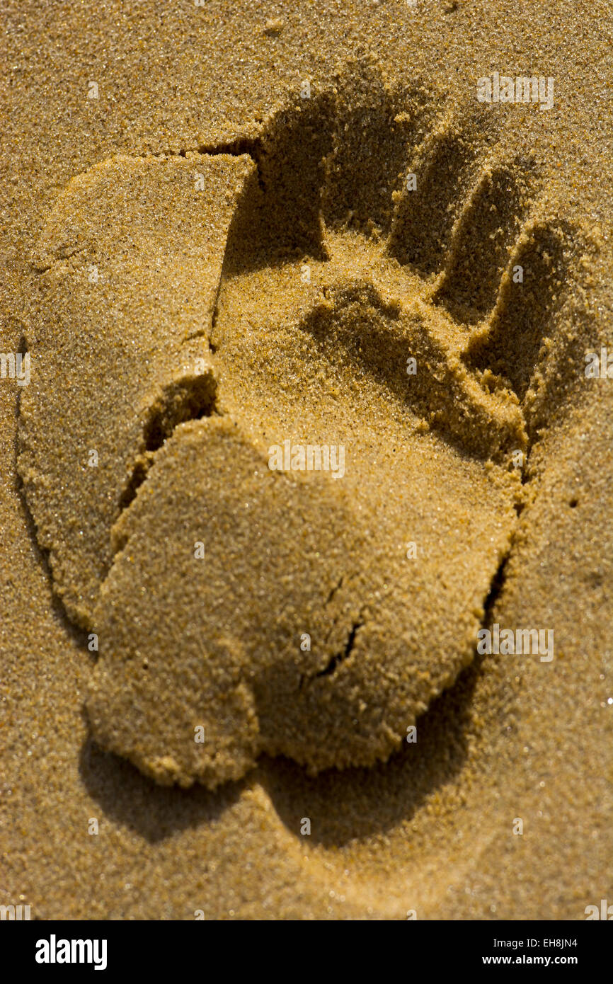 Foot print hi-res stock photography and images - Alamy