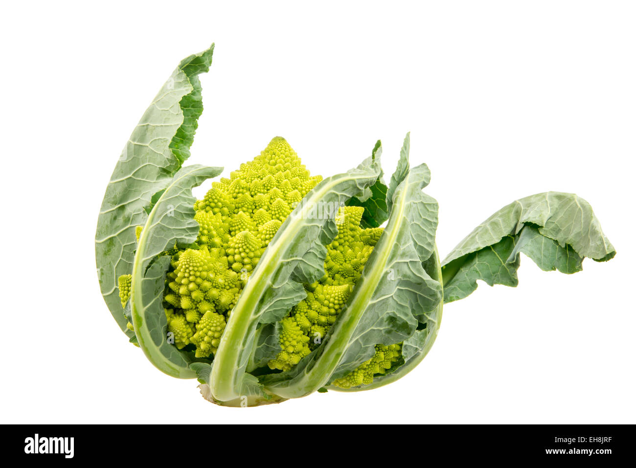 Closeup of a healthy romanesco broccoli vegetable Stock Photo - Alamy