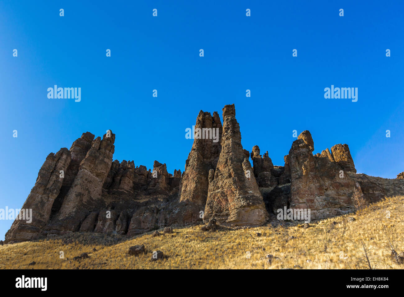 Clarno Palisades viewed from the Geologic Time Trail in the Clarno Unit ...