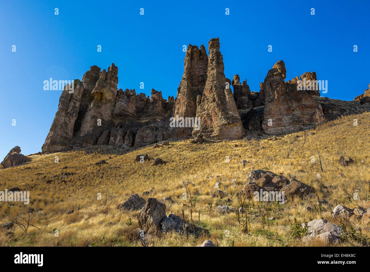 Clarno Palisades viewed from the Geologic Time Trail in the Clarno Unit ...