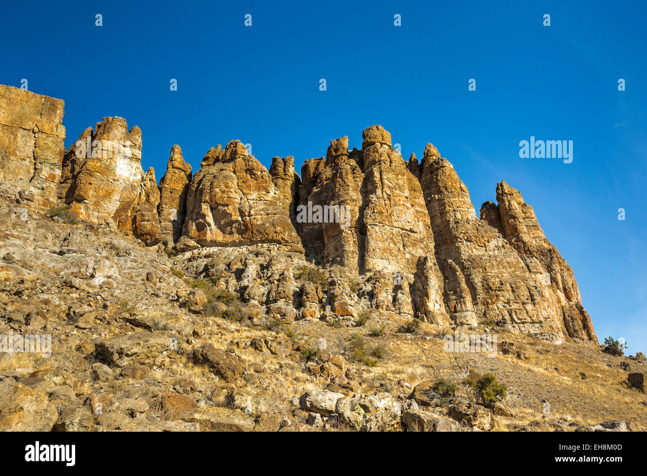 The Palisades, a formation located in the Clarno Unit in John Day ...