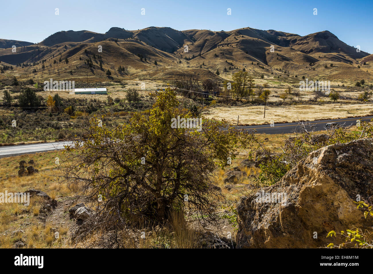 Fossils fossil usa hi-res stock photography and images - Alamy