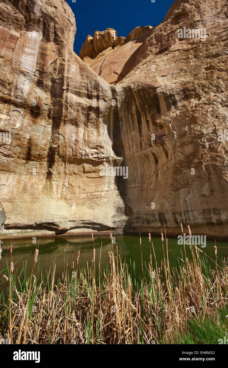 The Pool at Inscription Trail, El Morro National Monument, New Mexico ...