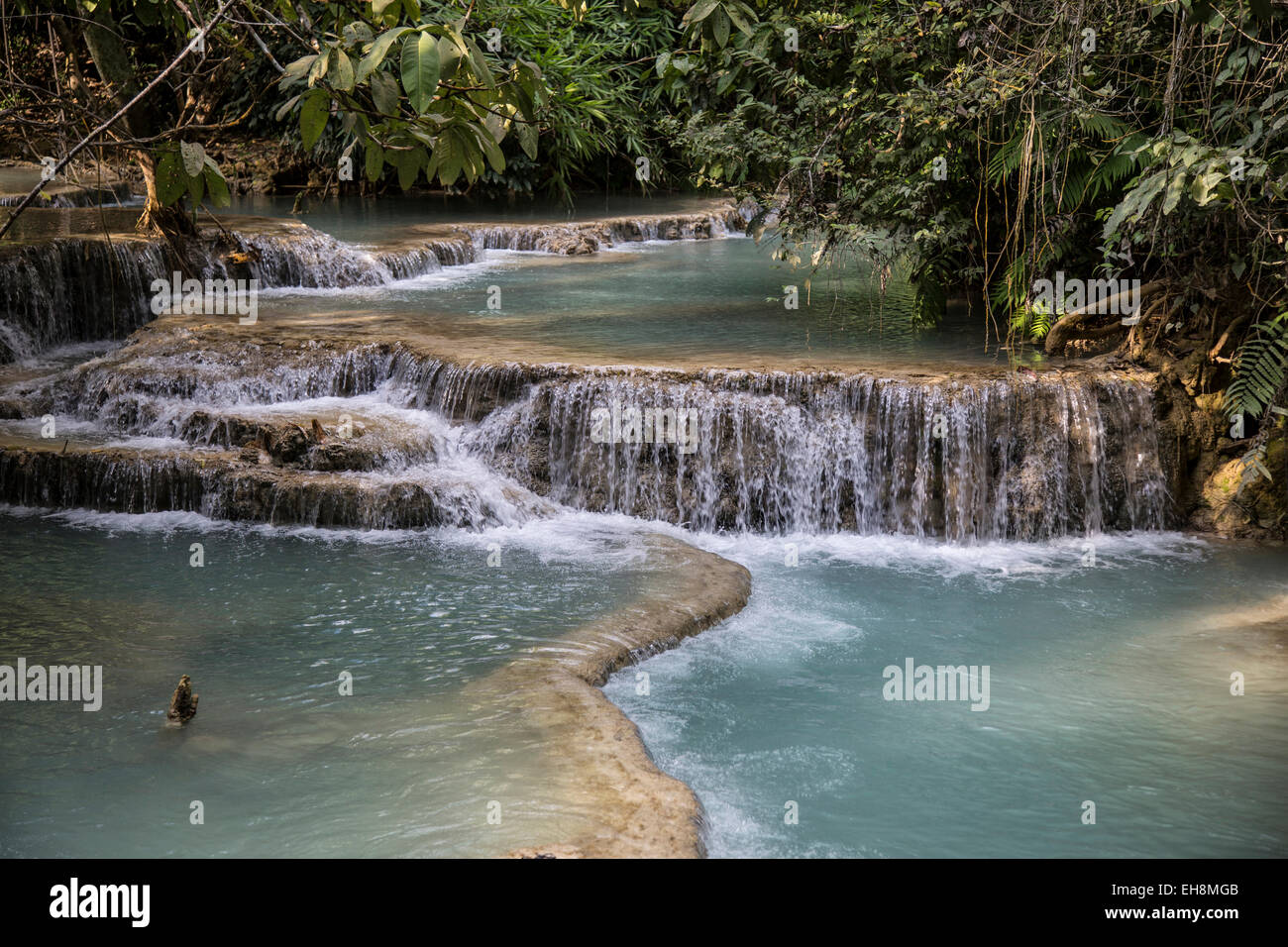 Forest river cascade hi-res stock photography and images - Alamy