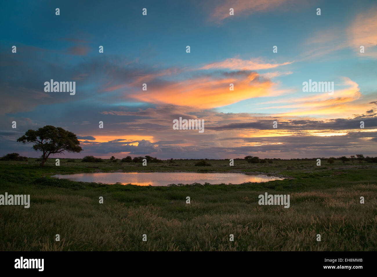 Namibian sunset hi-res stock photography and images - Alamy