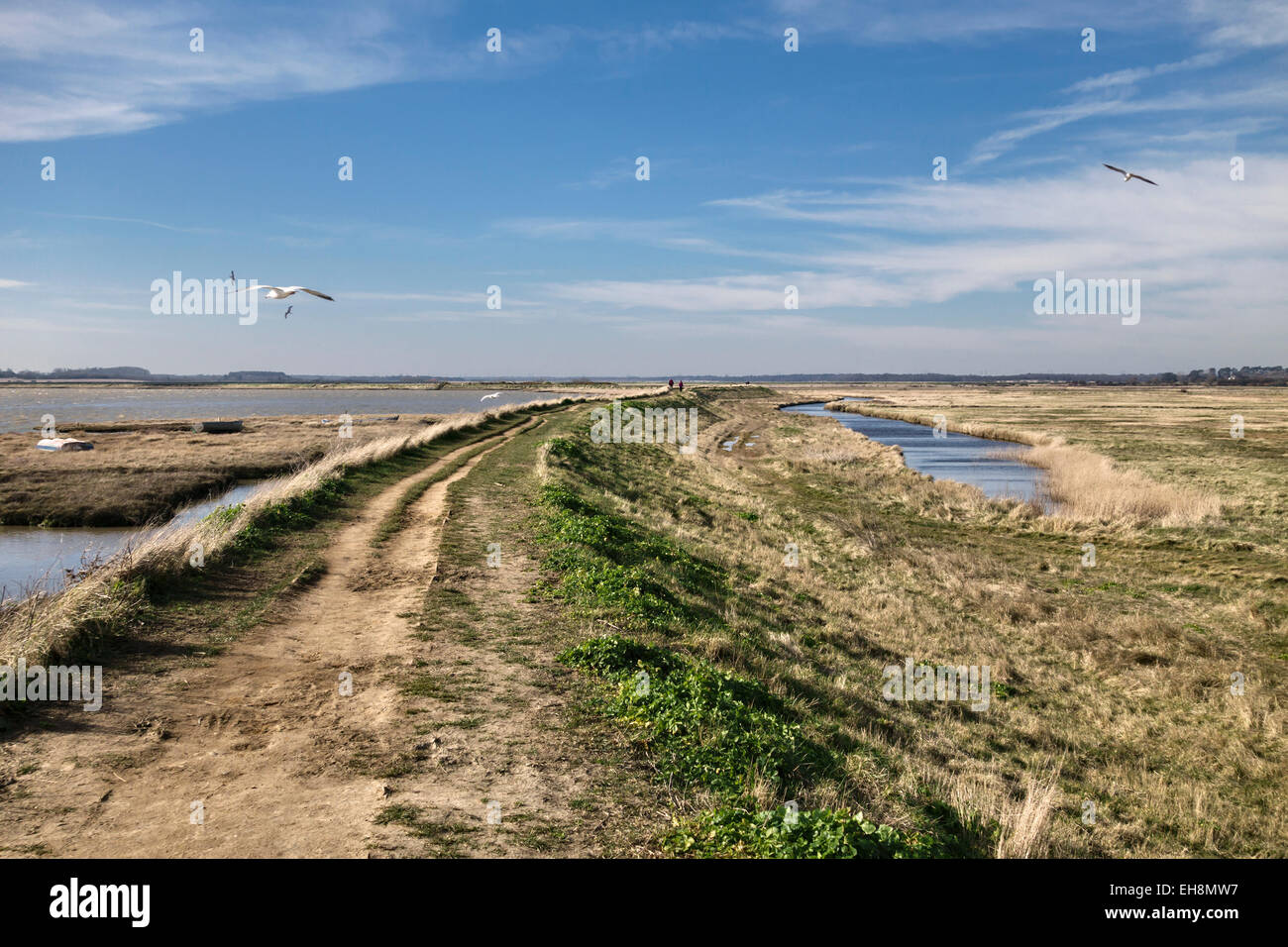 Flood defence embankment town hi-res stock photography and images - Alamy