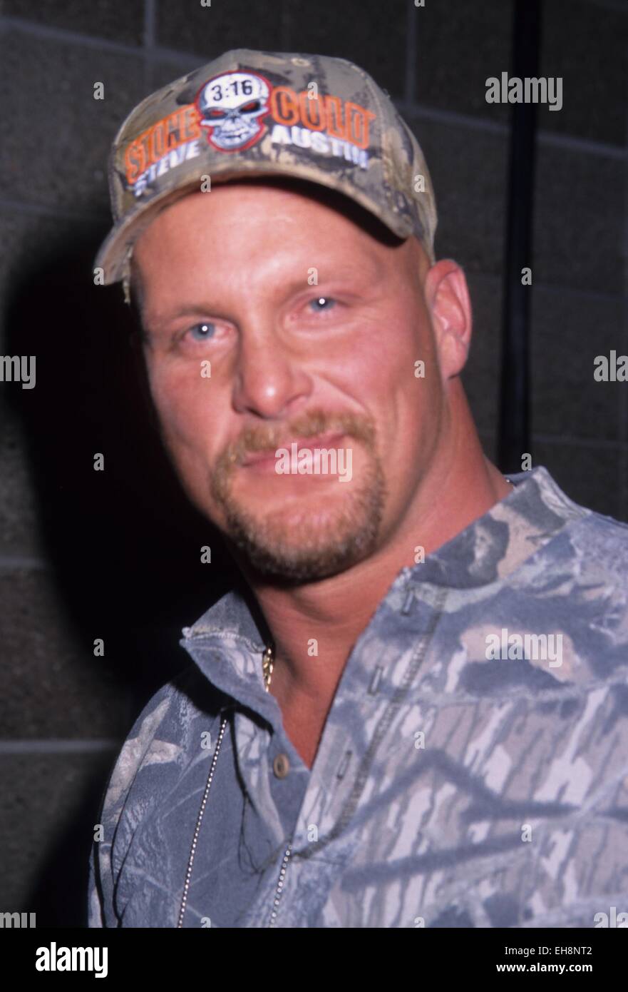 AUSTIN STONE at Mike Tyson VS. Botha Celebrity party at MGM Grand Las ...