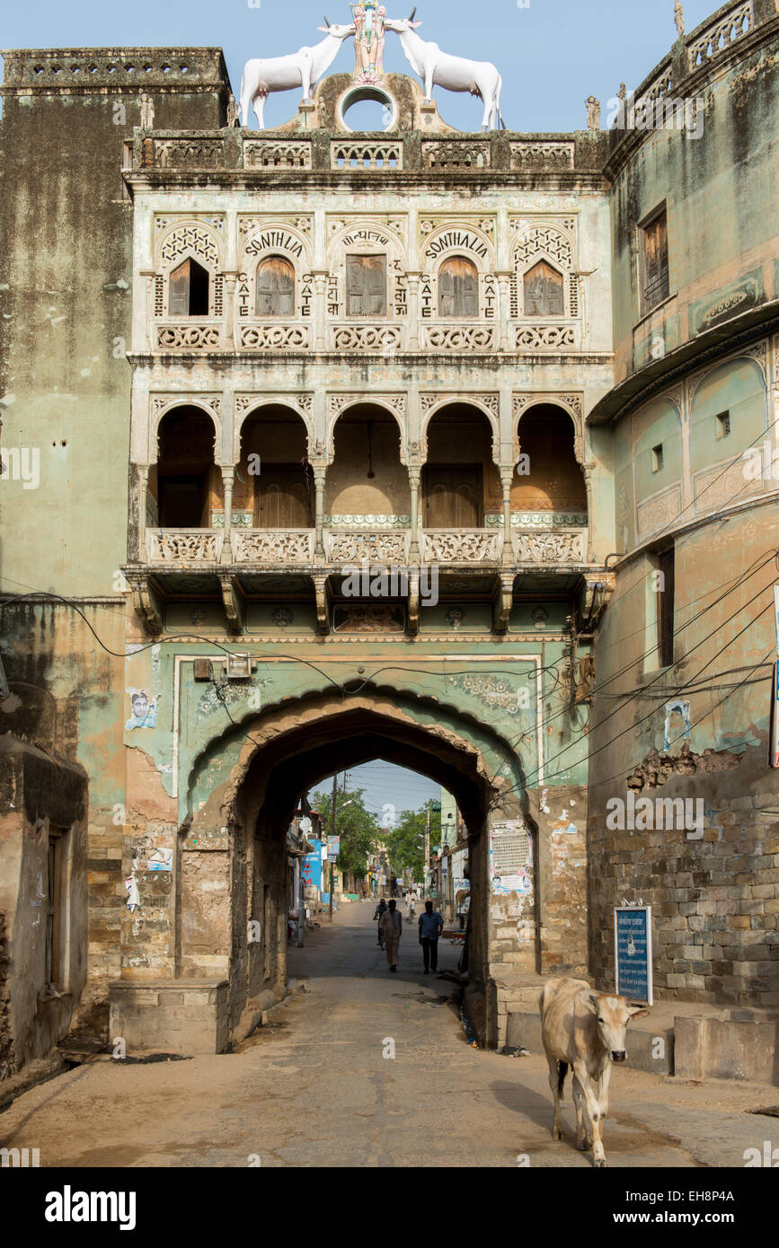 Mandawa, Decorated doorway with beautiful architecture Stock Photo - Alamy